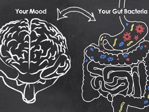 ¿Que son los psicobióticos? - Microbiota
